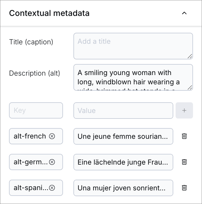 Generate Multilingual Alt Text | Documentation