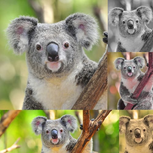 Image fingerprinting Identify similar images using pHash