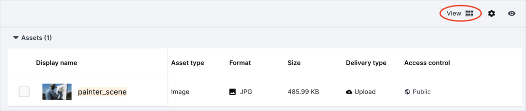 DAM - Manage Individual Media Assets | Cloudinary