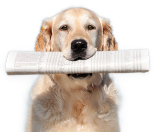 CDN for Images: Optimize and Deliver Images Faster